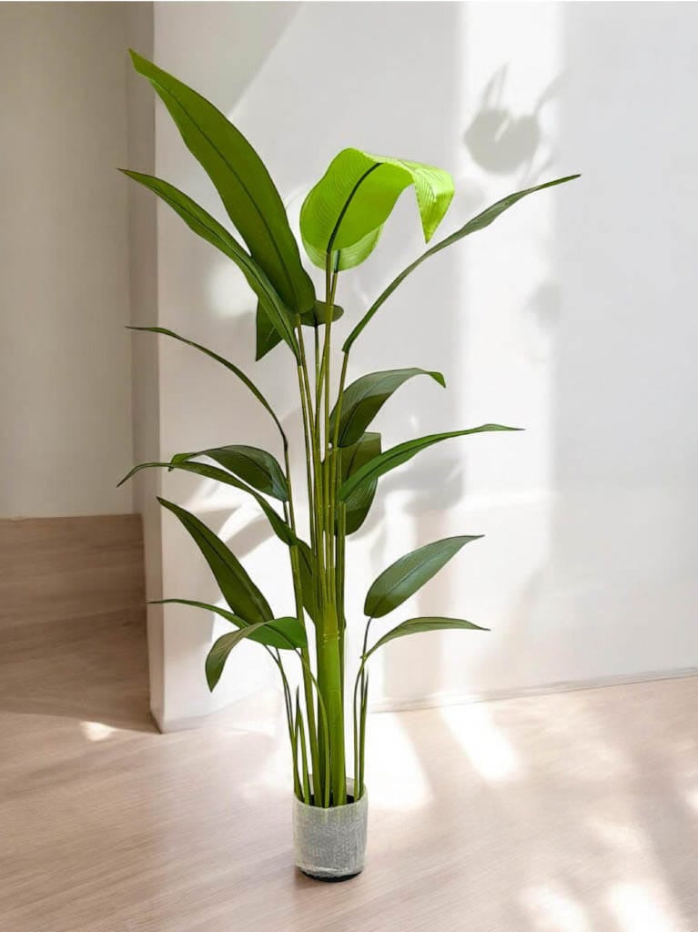 Artificial Funa Philodendron Plant – Saajawat